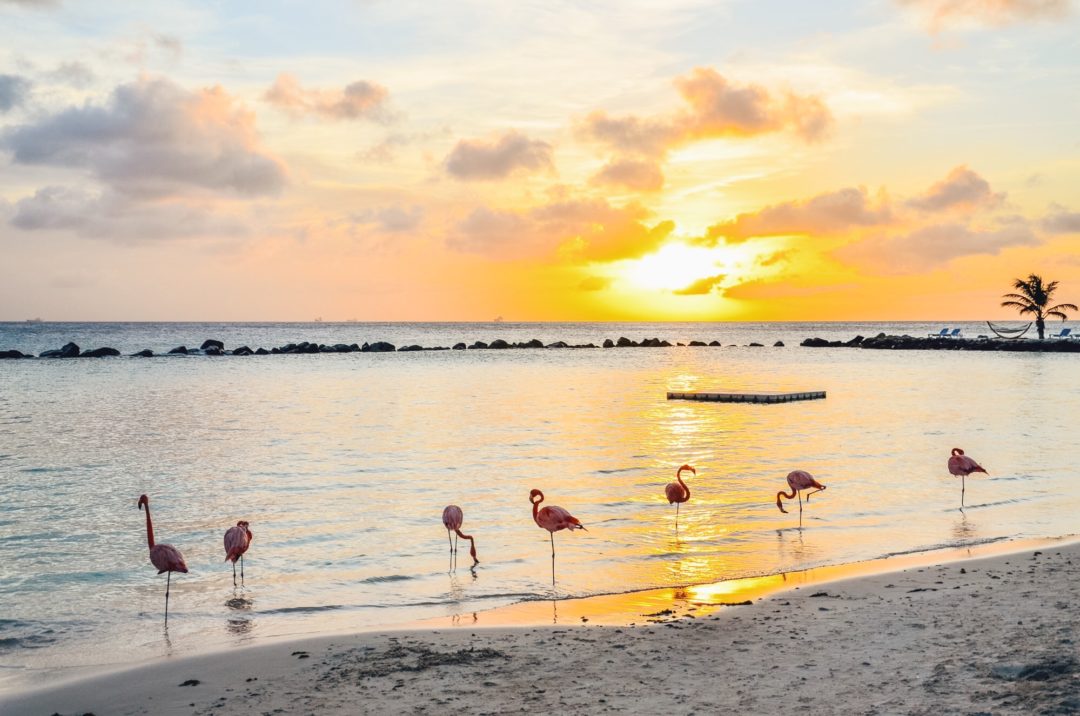 Our inspiring Aruba photos - discover the beauty of the Carribeans