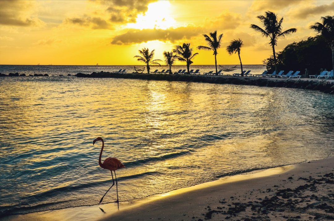 Our inspiring Aruba photos - discover the beauty of the Carribeans
